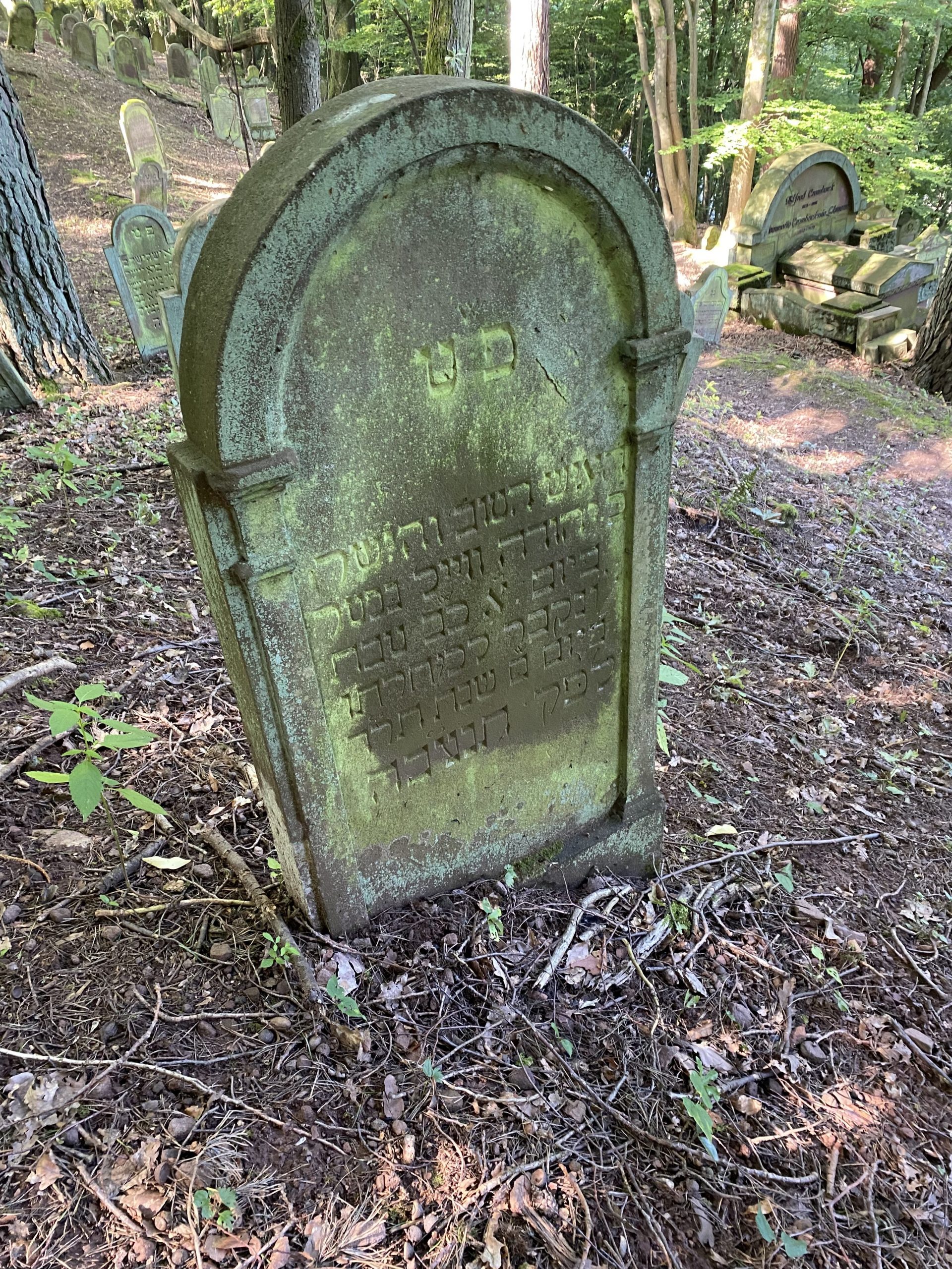 Mon voyage en Alsace : sur les pas de mes ancêtres - Juliette Rivkah ...